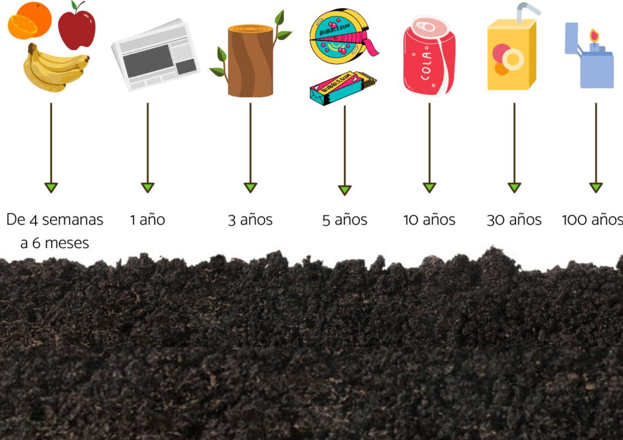 PROYECTO DE BIODEGRADACIÓN DE LOS MATERIALES - WordPress